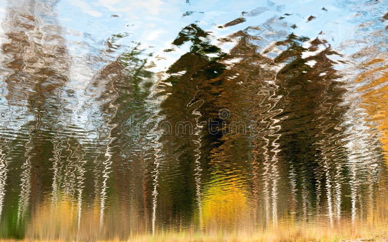Water Surface with Reflection of Autumn Trees. Background Stock Photo ...