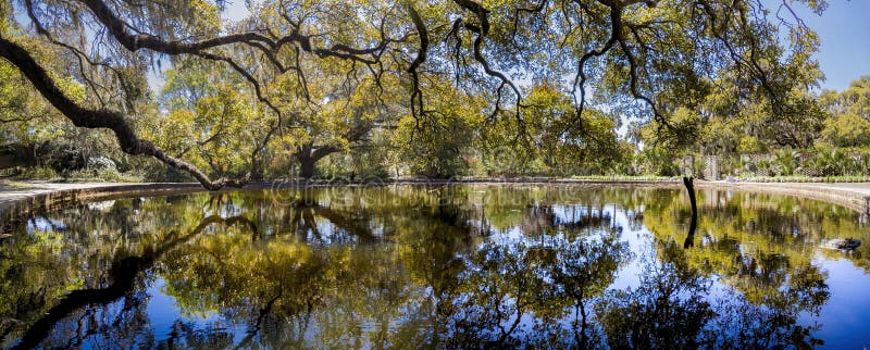 Water Surface Reflections of Rich Landscape Features and Blue Sky Stock ...