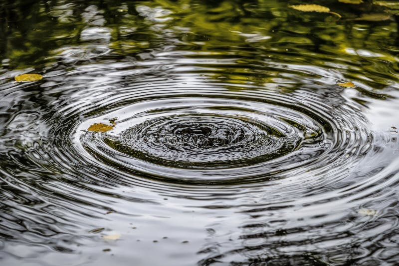 Water Surface with Ripples Caused by Single Raindrop in Dark Stock ...