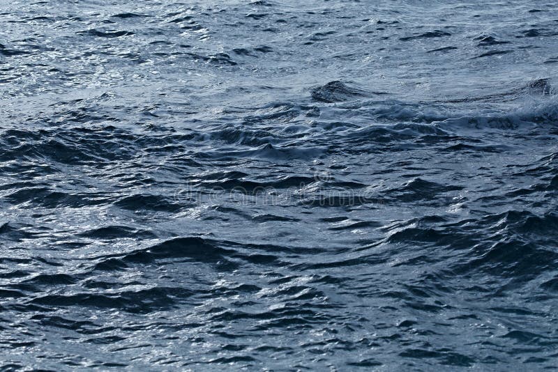 Water Surface Ripples stock photo. Image of aquatic - 247511514