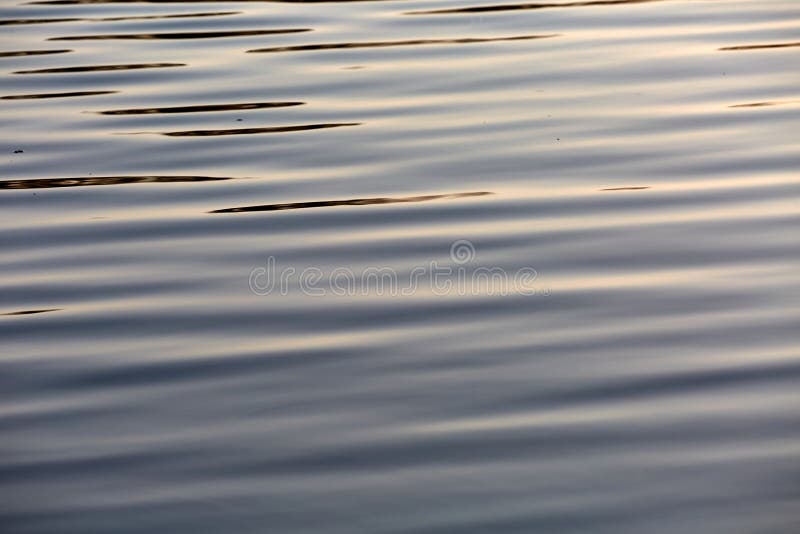 Water Surface Ripples stock photo. Image of clean, smooth - 258650620