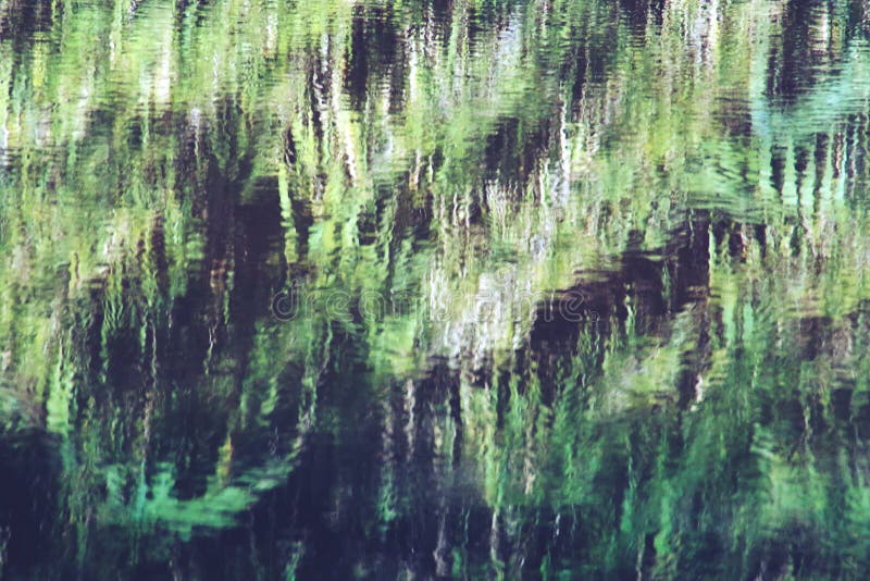 Riverside Reeds Breeze Stock Photos - Free & Royalty-Free Stock Photos ...