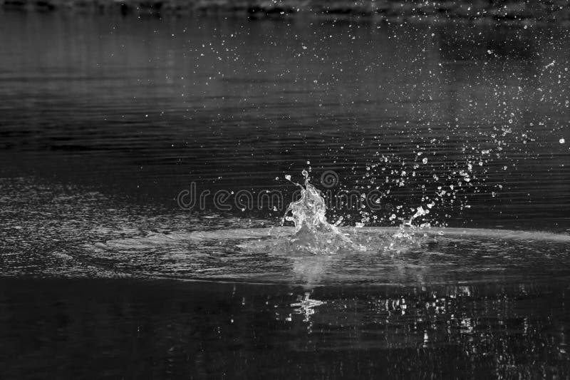 Minimalisation Stock Photos - Free & Royalty-Free Stock Photos from ...