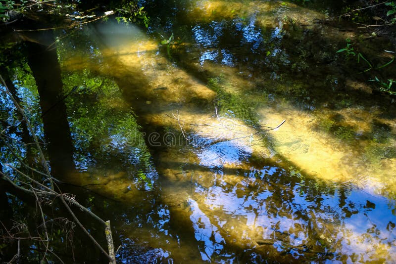 Water Surface in a Stream Shining in the Sun Stock Image - Image of ...