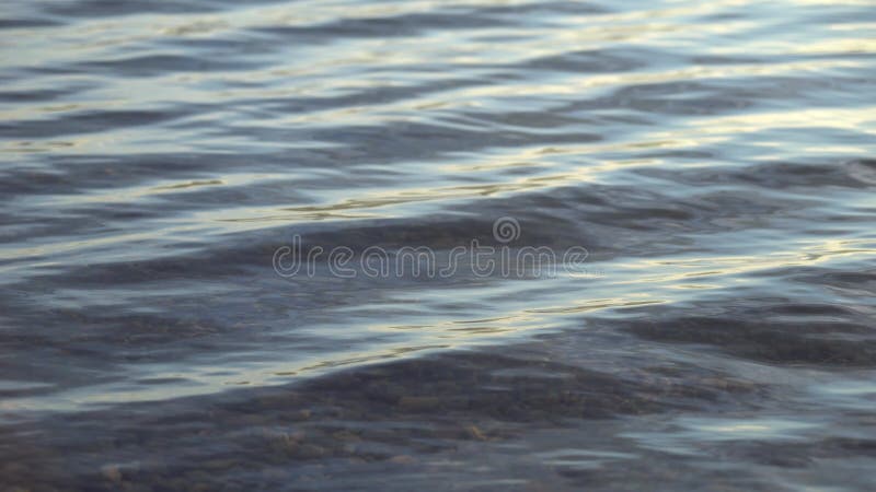 Water Surface Sunlight Reflections. Morning, Nature Stock Video - Video ...