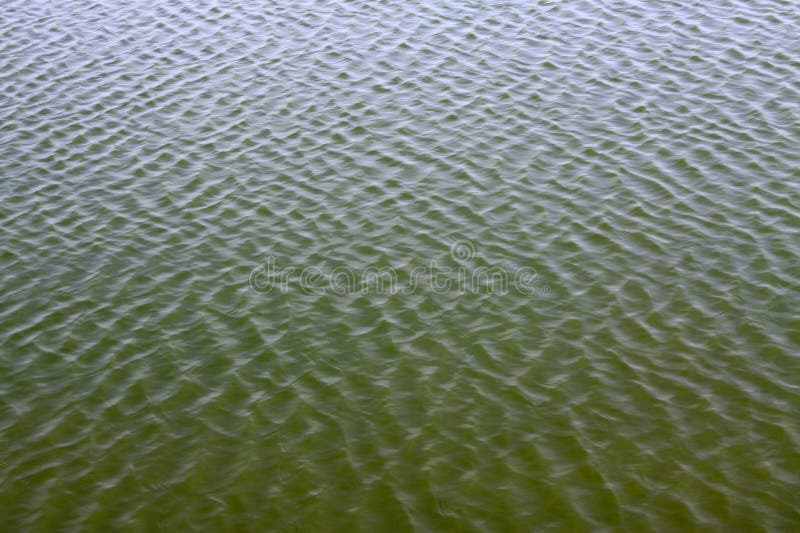 Water surface texture stock image. Image of ripples - 369664837