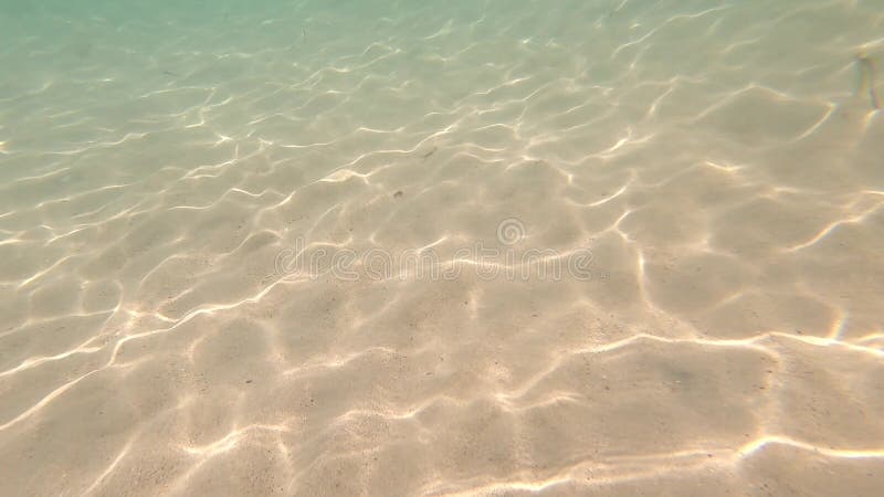 Water Surface Texture, Looping Clean Swimming Pool Ripples and Wave ...