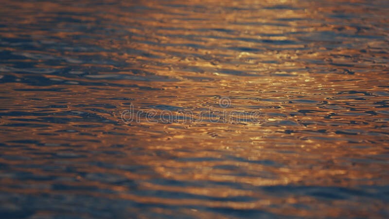 Water Surface Texture. Shiny Water with Sun Reflections. Rippled Water ...