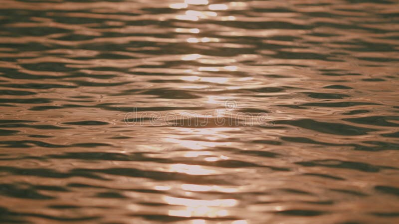 Close Up. Water Surface Texture. Shiny Water with Sun Reflections ...
