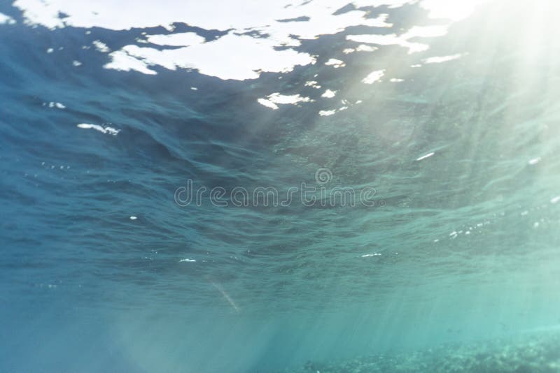 1,607 Ocean Water Underneath Stock Photos - Free & Royalty-Free Stock ...