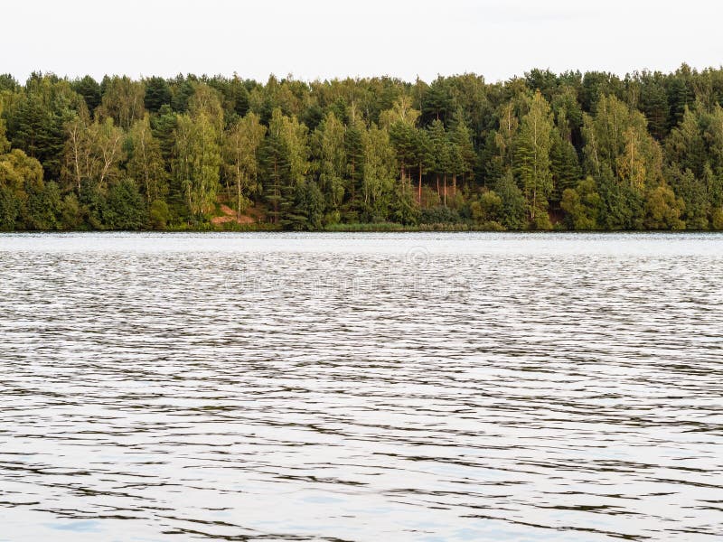 Water Surface and View of Forest on Coast of Lake Stock Photo - Image ...
