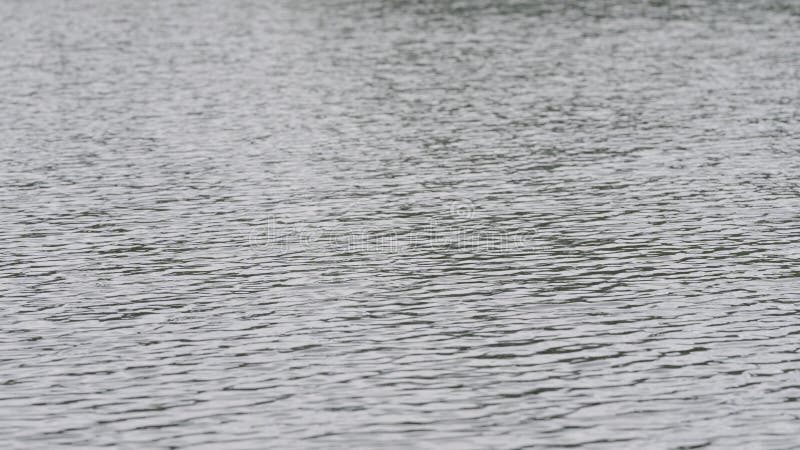 Water Surface with Waves from Wind Stock Image - Image of weather ...