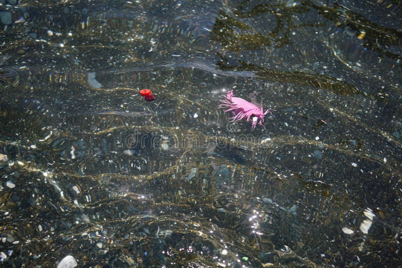 The Water Surface on Which a Lot of Debris and Plastic Floats. Stock ...