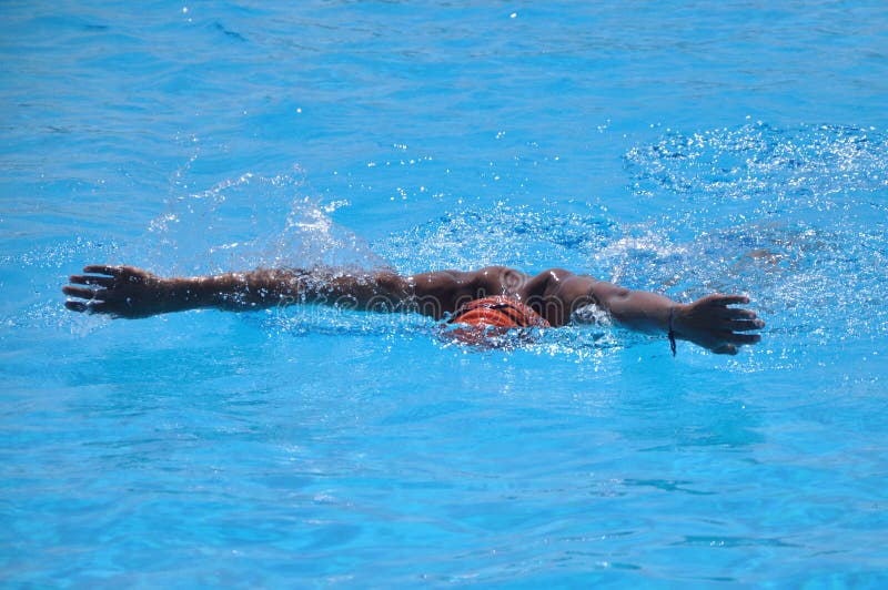 Water, Swimming, Swimmer, Water Sport Picture. Image: 128952188