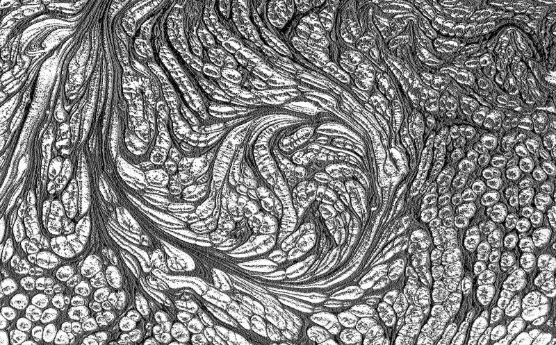 Water Patterns stock image. Image of liquid, ocean, shiny - 656711