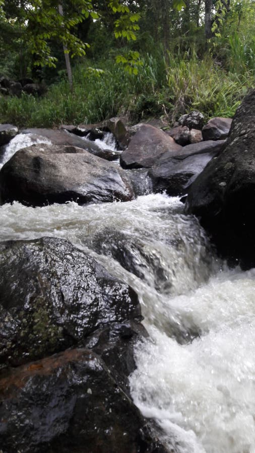 The Water Takes Its Way and Flows. Stock Photo - Image of water, flow ...