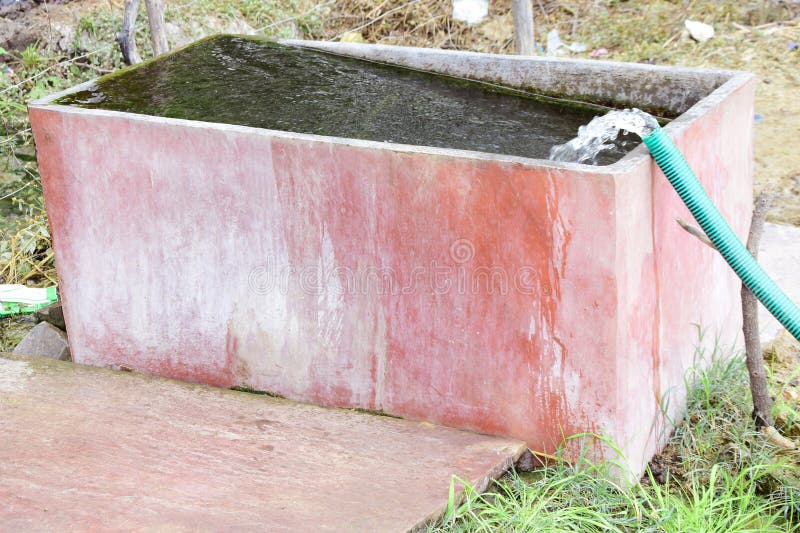 Water Tank for Animals Drink Stock Image - Image of woter, wood: 269756797