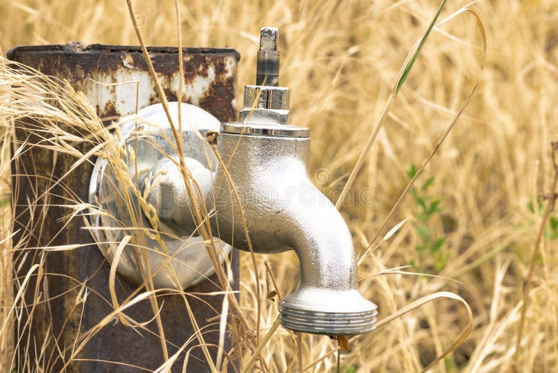 Water Tap without Water in Dry Grass, during an Arid Summer Stock Photo ...