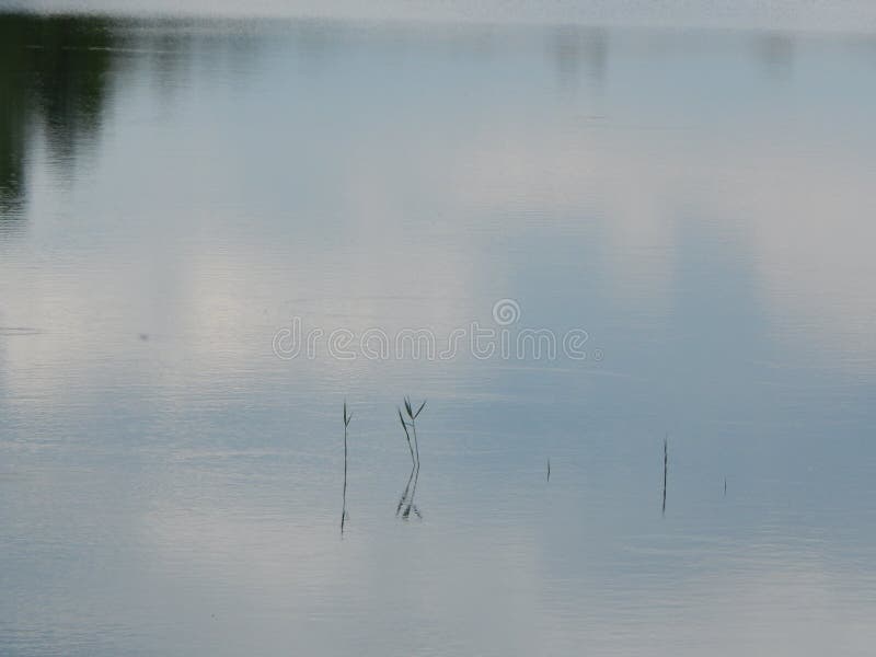 Water Texture and Lake Ripple Stock Image - Image of water, ripple ...