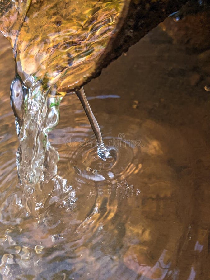 Water Texture in a Rice Field Stream in the Morning Stock Photo - Image ...