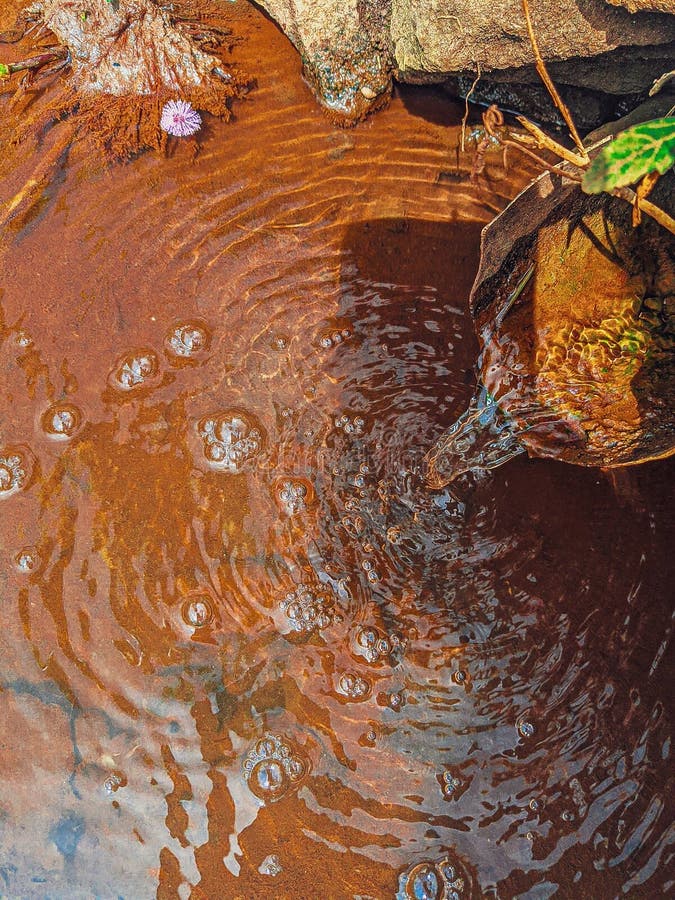 Water Texture in a Rice Field Stream in the Morning Stock Photo - Image ...