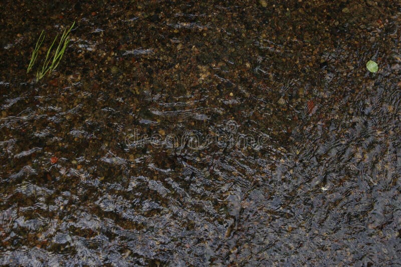 Water texture in river. stock photo. Image of ripples - 95885234