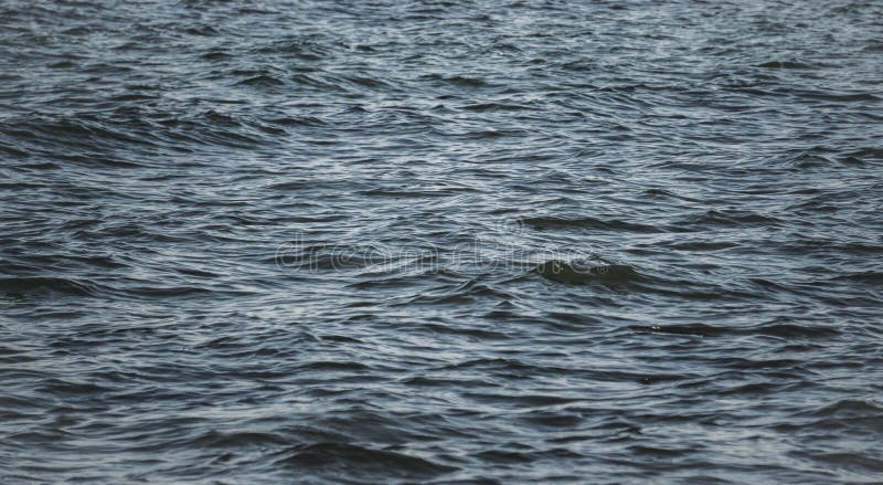 Ripples on Dark Blue Water Vertical Image. Stock Photo - Image of ...