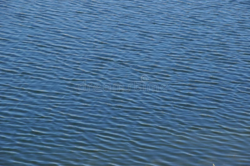 Water Texture with Slight Waves from Light Wind. Stock Photo - Image of ...