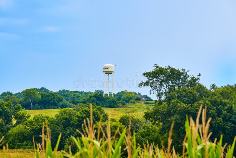 Water Tower with Corn Fields and Forest Stock Photo - Image of farm ...