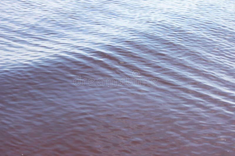 Water with Transverse Waves in the Gulf of Finland. Stock Photo - Image ...