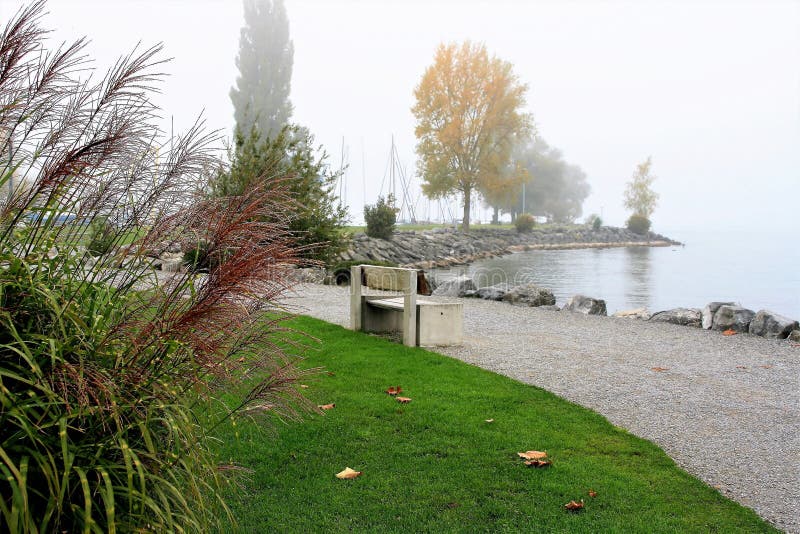 Water, Tree, Bank, Plant stock image. Image of walkway - 112042951