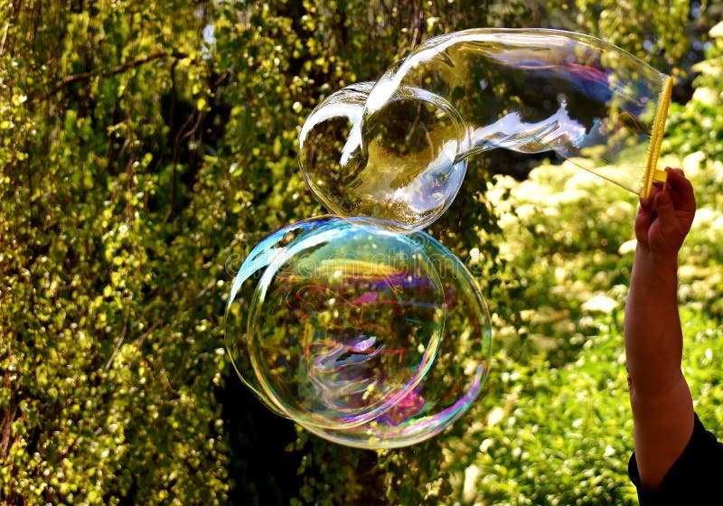 Water, Tree, Grass, Plant stock image. Image of water - 101024015