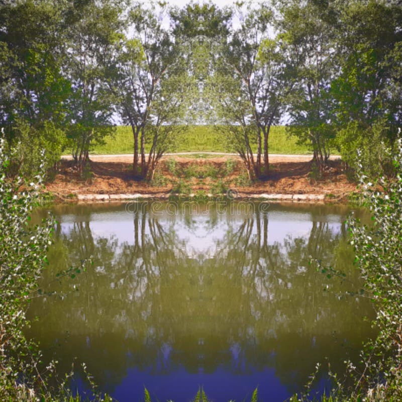 Water tree the nature stock image. Image of autumn, reflection - 181203189