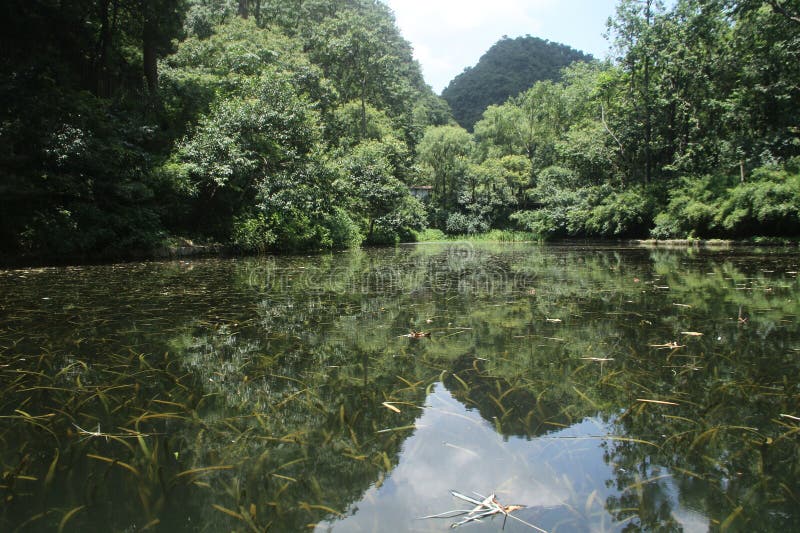 Water, trees stock photo. Image of includes, stream - 364565946
