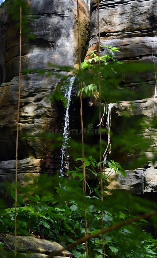 Water Trickling Down Rocks Creating Waterfall Stock Image - Image of ...