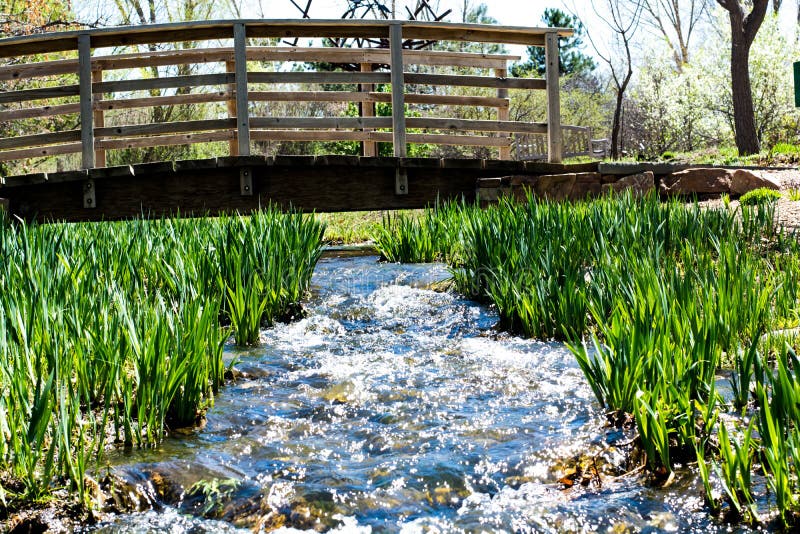 Water under the bridge stock photo. Image of stream, bridge - 95644888