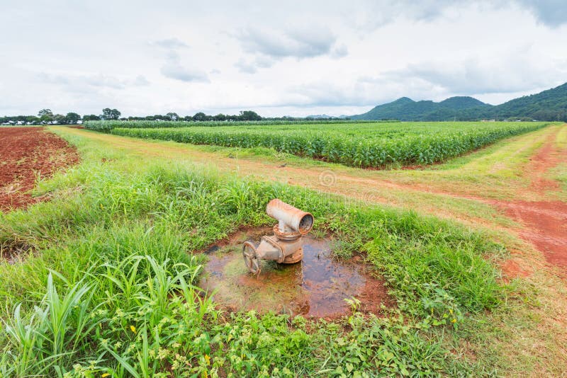 Water valve stock image. Image of hose, soil, rust, farm - 32425041