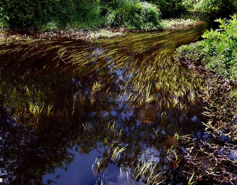 Water, Vegetation, Nature, Nature Reserve Picture. Image: 122828645