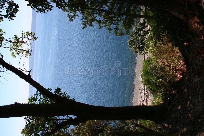 Water View stock photo. Image of water, ocean, beauty - 1085124