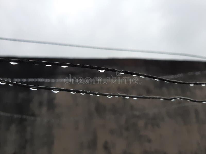 Water that Waiting To Drops Stock Image - Image of water, drops: 287946729