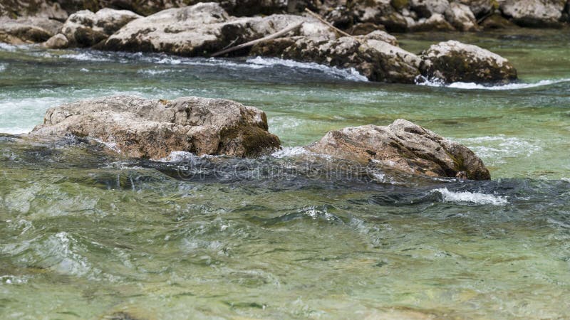 Water torrential floods stock image. Image of alps, river - 218771397