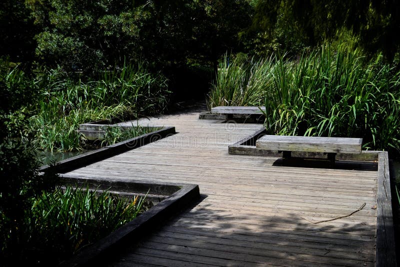 Water, Walkway, Path, Plant Stock Image - Image of path, landscape ...