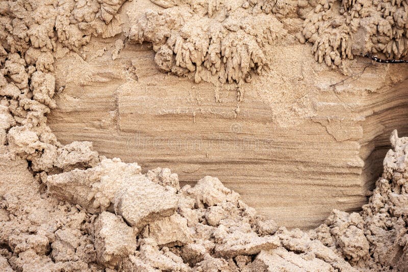 Water-washed Dunes on the Coast of the Baltic Sea Stock Image - Image ...
