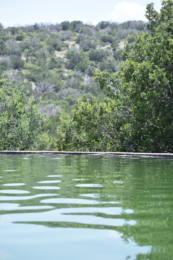 Water Pila stock image. Image of grass, agriculture - 100910033