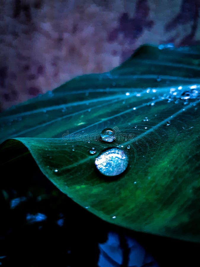 399 Amezing Photos - Free & Royalty-Free Stock Photos from Dreamstime