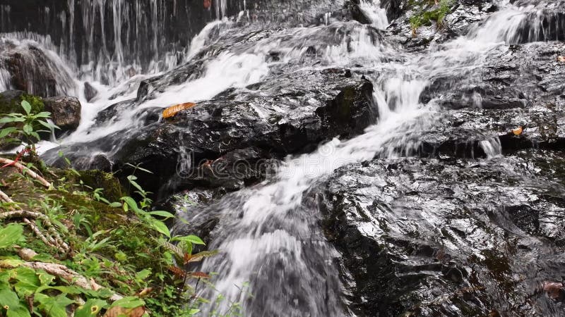 The Water from the Waterfall Flows Down the Rocks. Stock Video - Video ...
