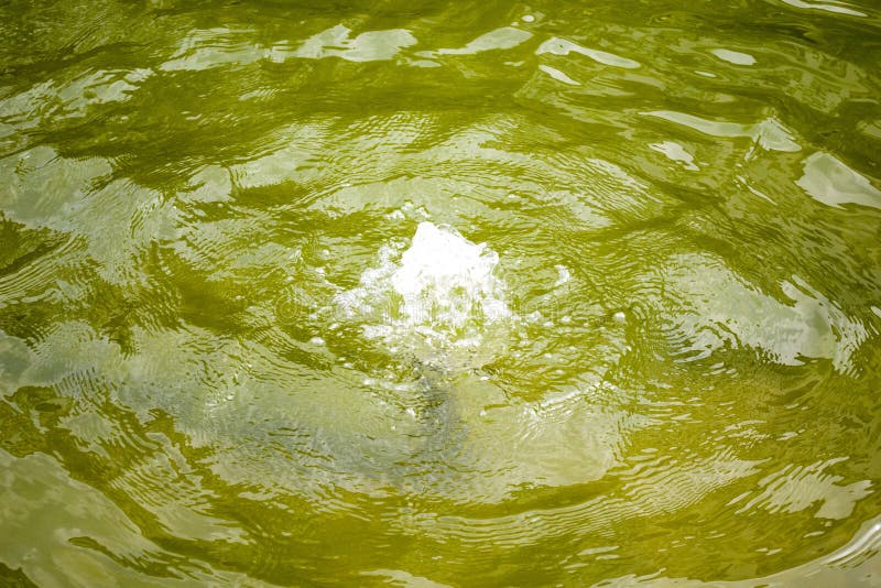 Water wave stock image. Image of gushing, water, space - 45637161