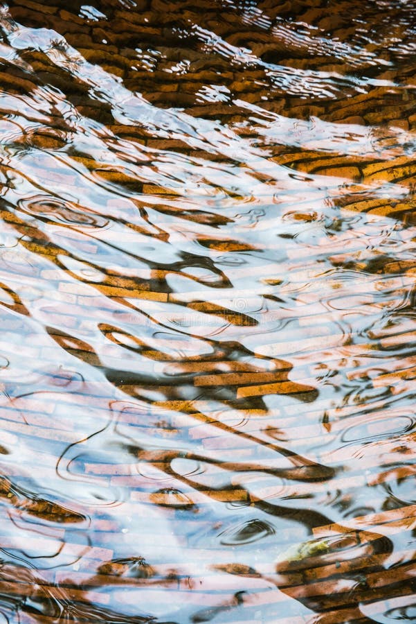 Water wave in pond stock image. Image of circular, outside - 263092027