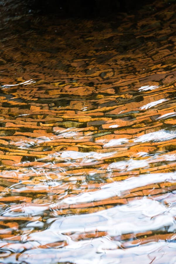 Circular Pond Waves Stock Photos - Free & Royalty-Free Stock Photos ...