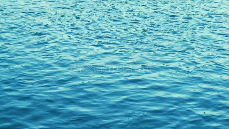 Water Waves Generator at Technology Museum Stock Footage - Video of ...